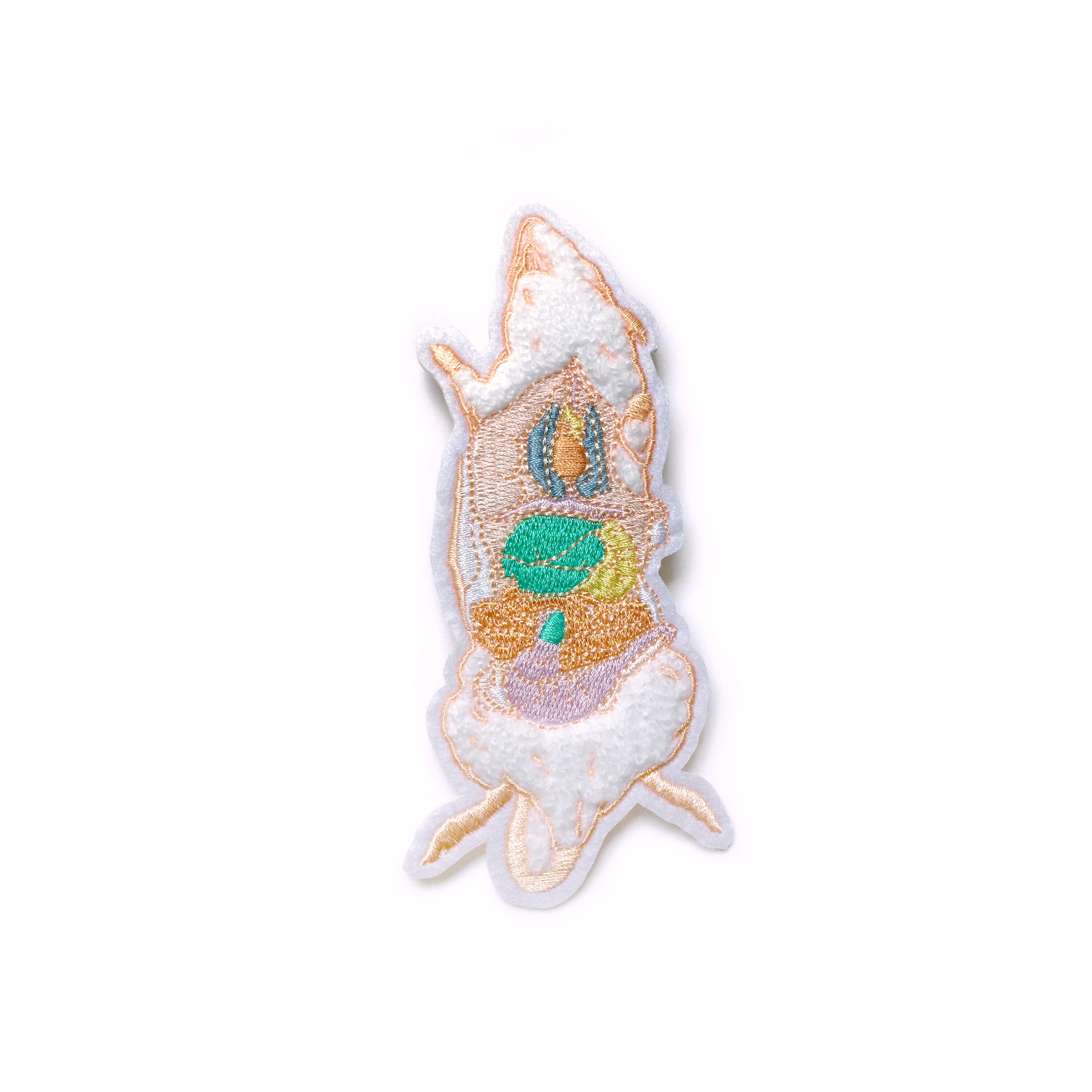 Dissected Rat Iron-on Patch Science Anatomy Physiology - Etsy