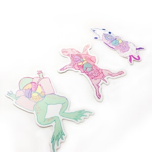 Dissection Vinyl Sticker - Dissected Frog, Dissected Pig, Dissected Rat, Science Sticker ...