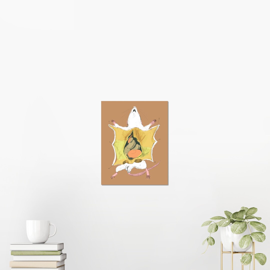 8x10 Inch Dissected Rat Art Print Unframed - Dissected Rat, Dissection ...