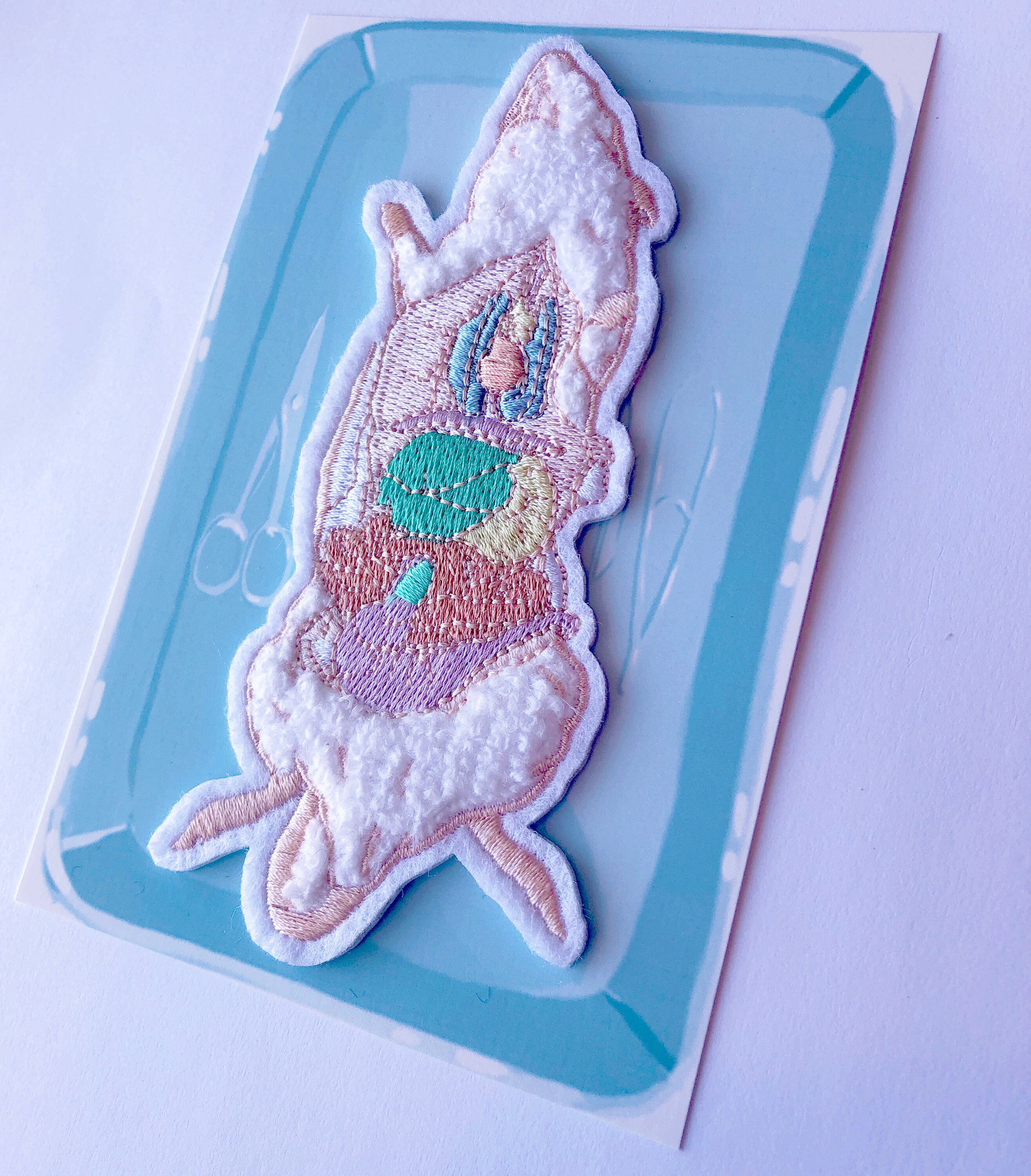 Dissected Rat Iron-on Patch Science Anatomy Physiology - Etsy