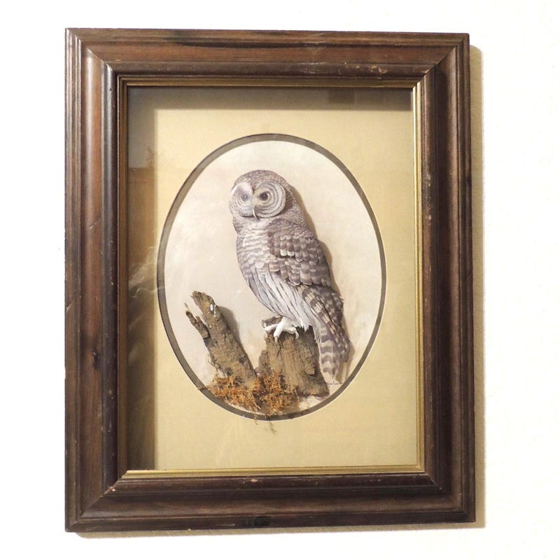 TheOwlandtheCrow - Etsy