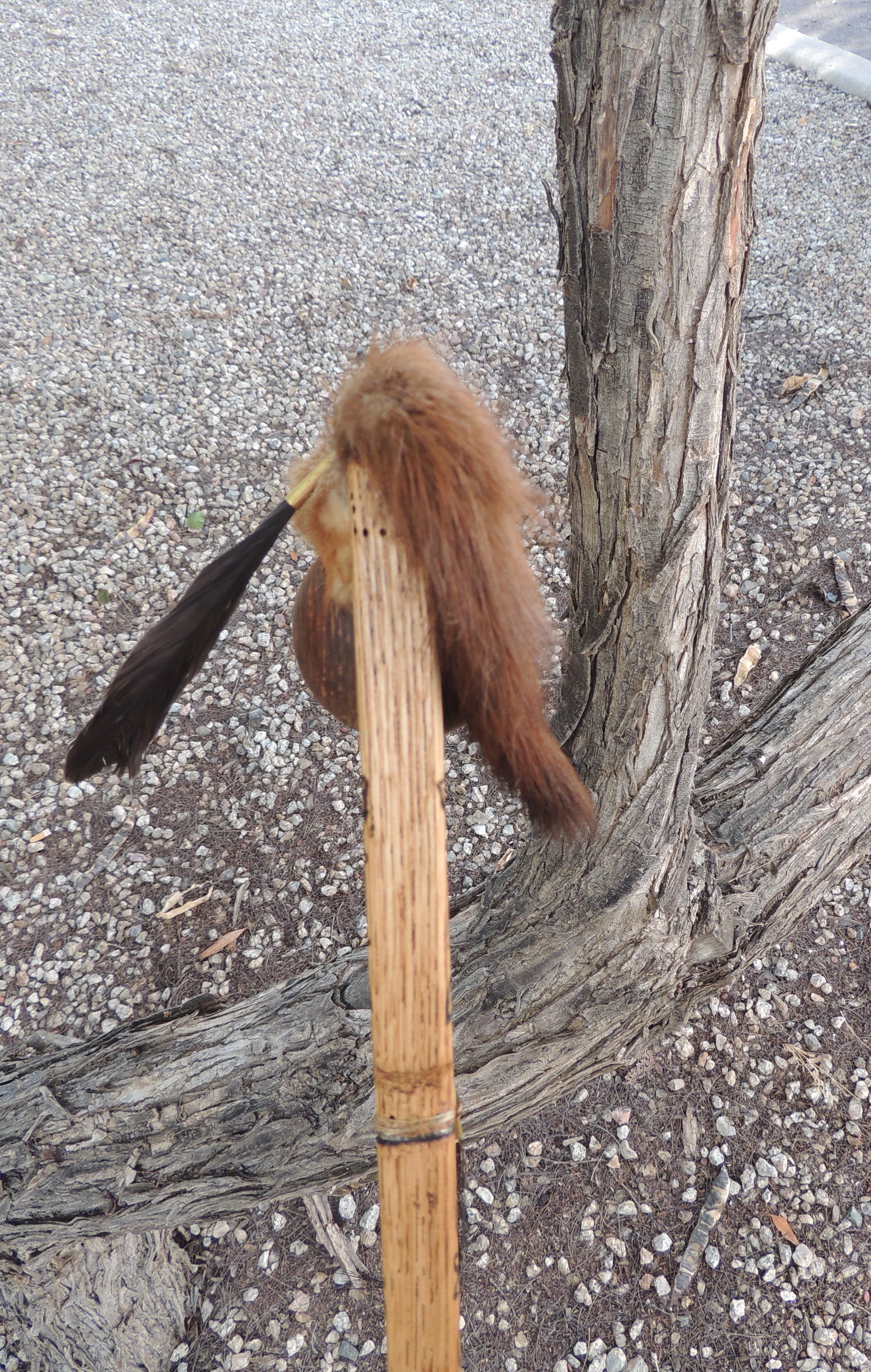 Mohawk/iroquois/eastern Woodland/ Hand Carved Ball Head War Club With ...