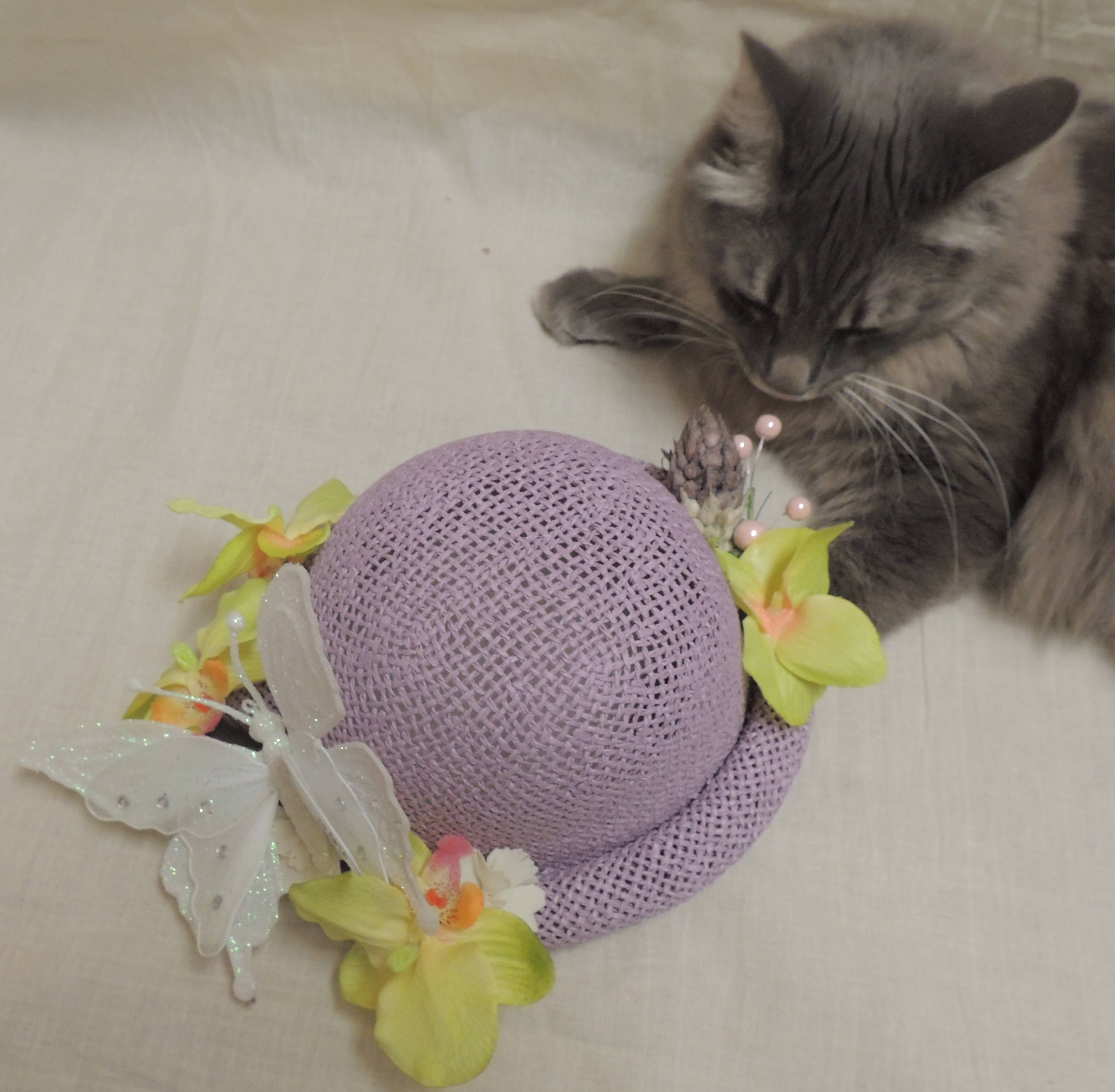 3 Choices Rolled Brim Paper Bowler Hat Kids/ Girls / Women | Etsy