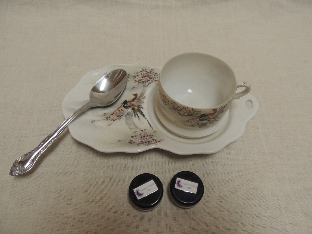 Vintage Early 1900's Teacup and Snack Plate Set Japan IE&C Co. - Etsy