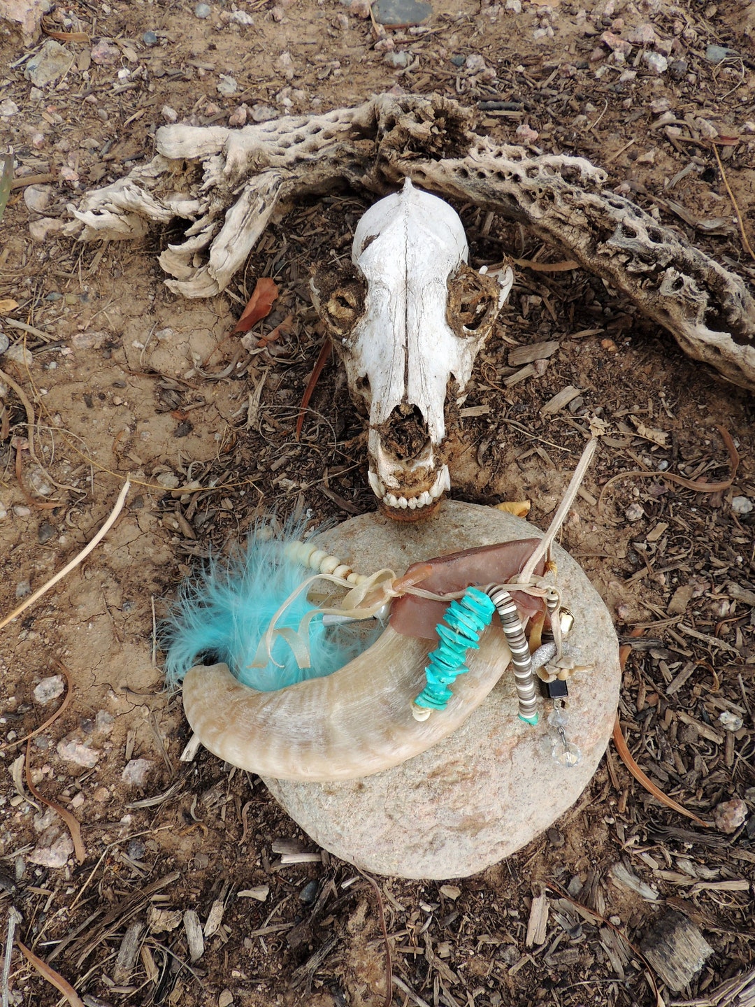 Traditional Blossom Goat Horn Ceremonial Rattle With Faerie - Etsy