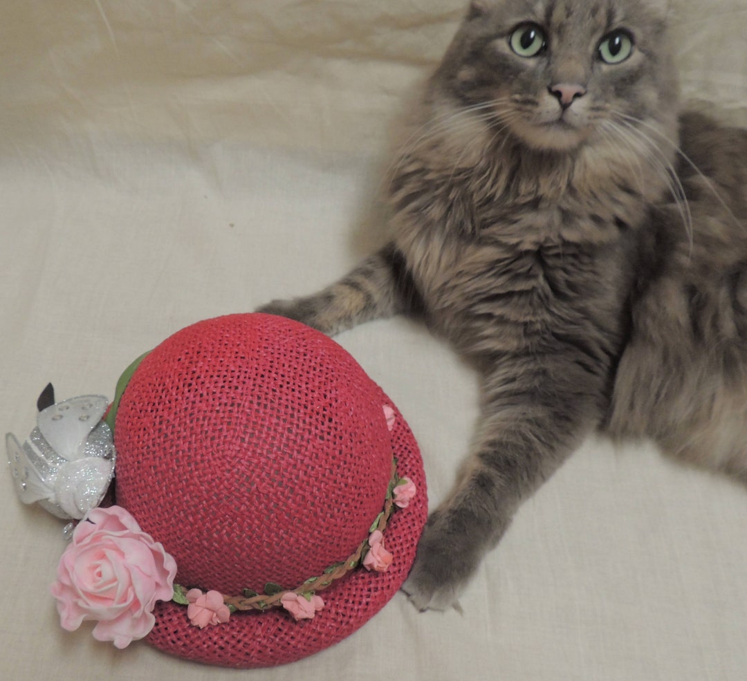 3 Choices Rolled Brim Paper Bowler Hat Kids/ Girls / Women, Easter ...