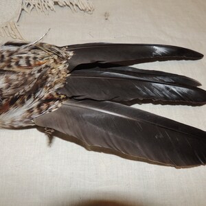 Native American Traditional Wing Dance Fan,powwow Regalia. - Etsy