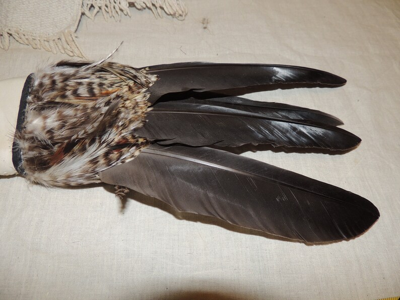 Native American Traditional Wing Dance Fanpowwow Regalia. | Etsy