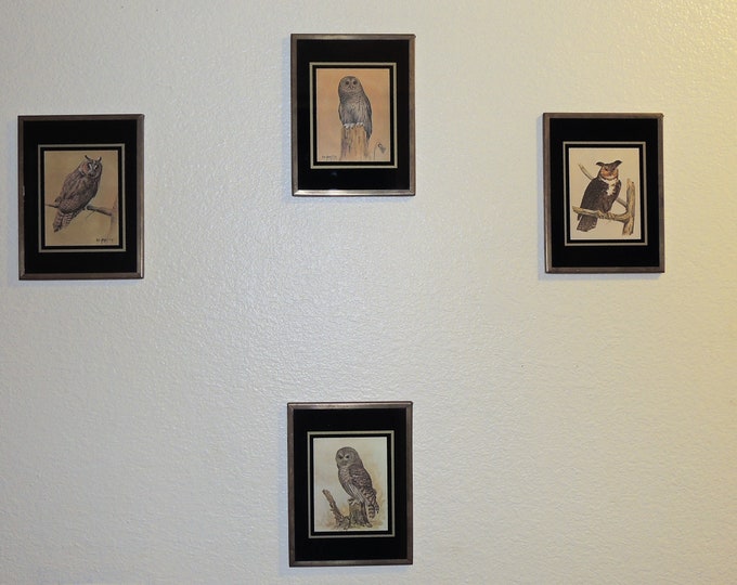 Set of 1973 Owl Lithographs /wild Life Art in Original Frames Artist ...