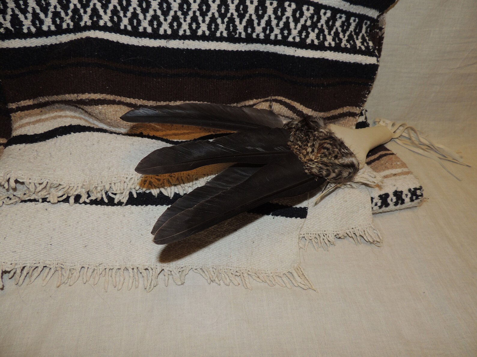 Native American Traditional Wing Dance Fanpowwow Regalia. | Etsy