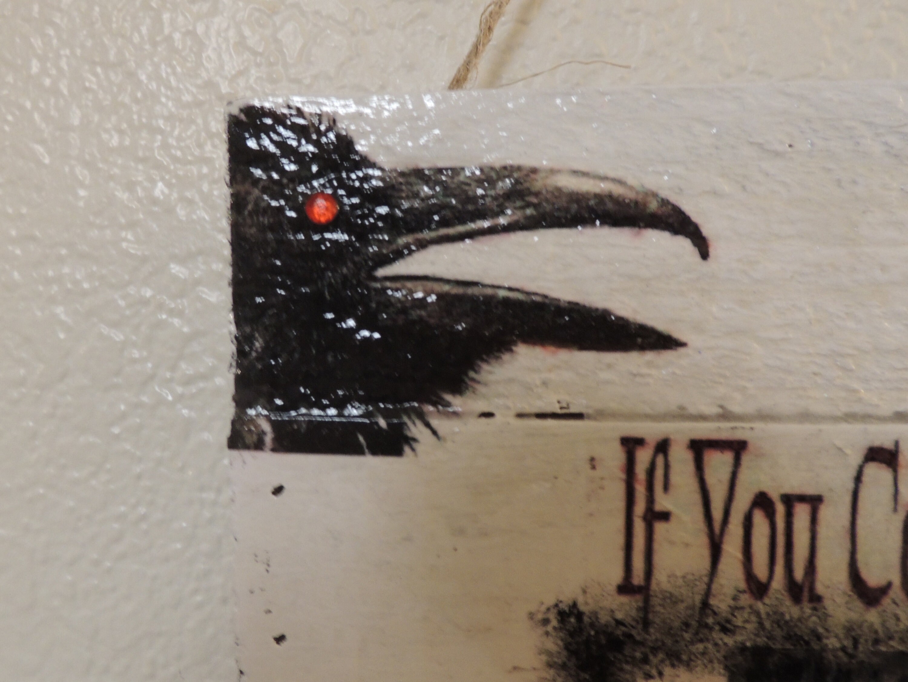 Custom Wiccan, Witches Halloween Sign Wooden Wall Hanging "if You Can't ...