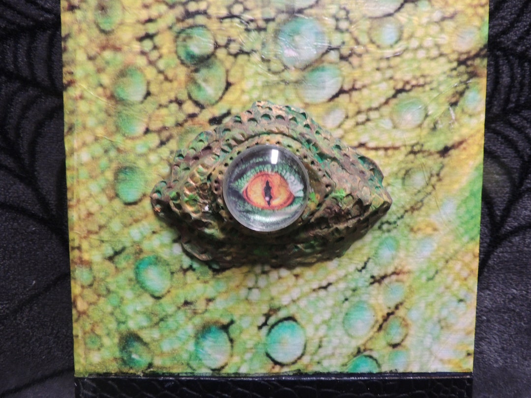 Reptilian, Lizard, Snake, Dragon, Keepsake Box, Decoupaged With Hand ...