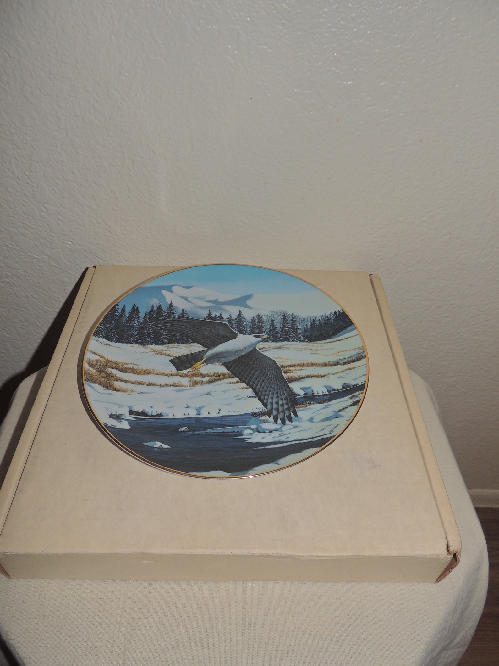 1988 Collector's Plate Fierce and Free the Goshawk From - Etsy