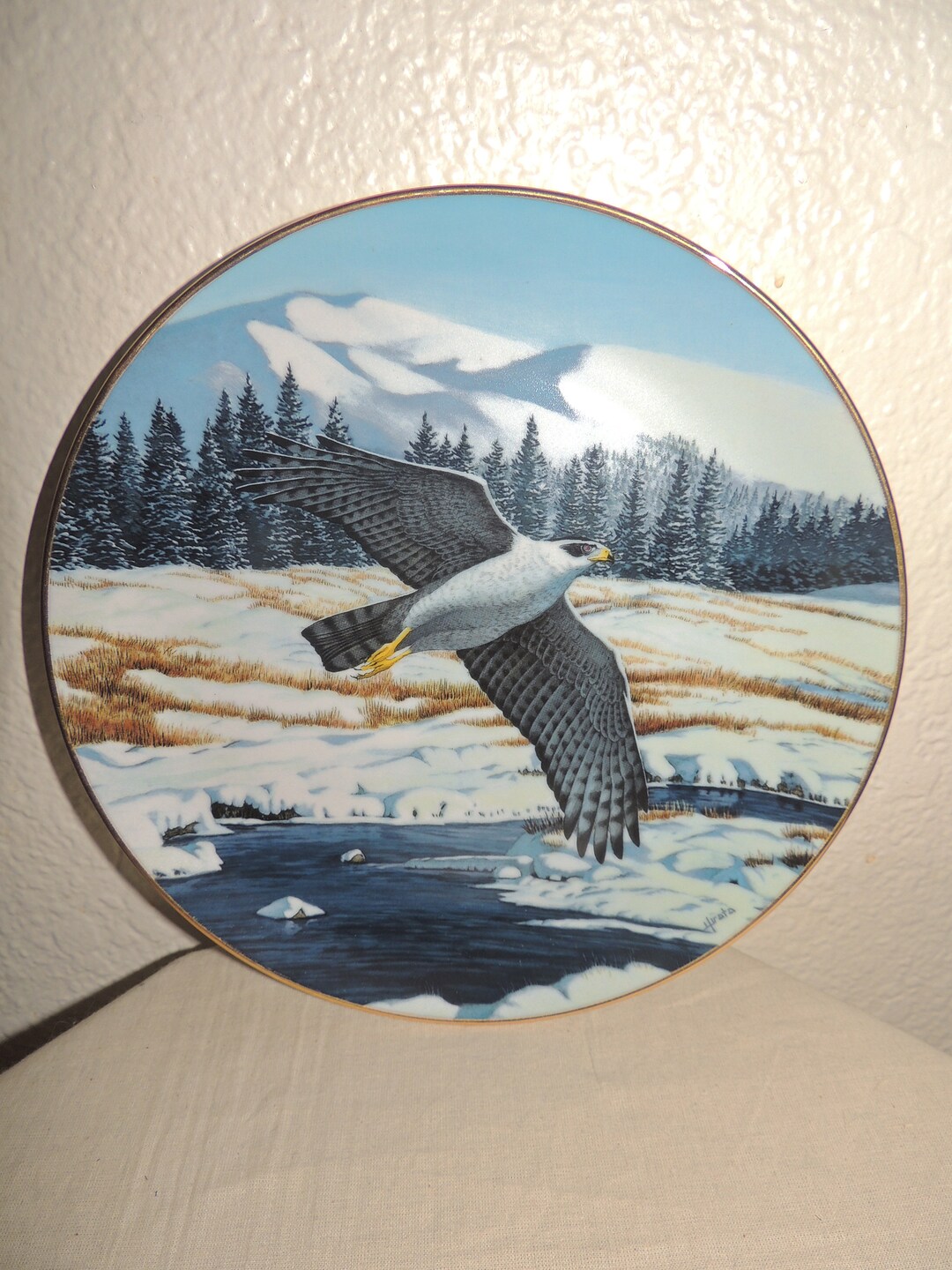 1988 Collector's Plate Fierce and Free the Goshawk From - Etsy