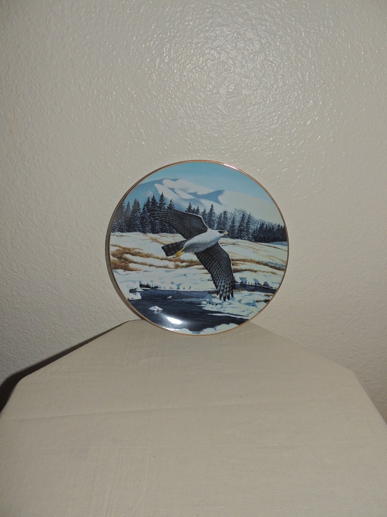 1988 Collector's Plate, Fierce and Free, the Goshawk From the Majesty ...