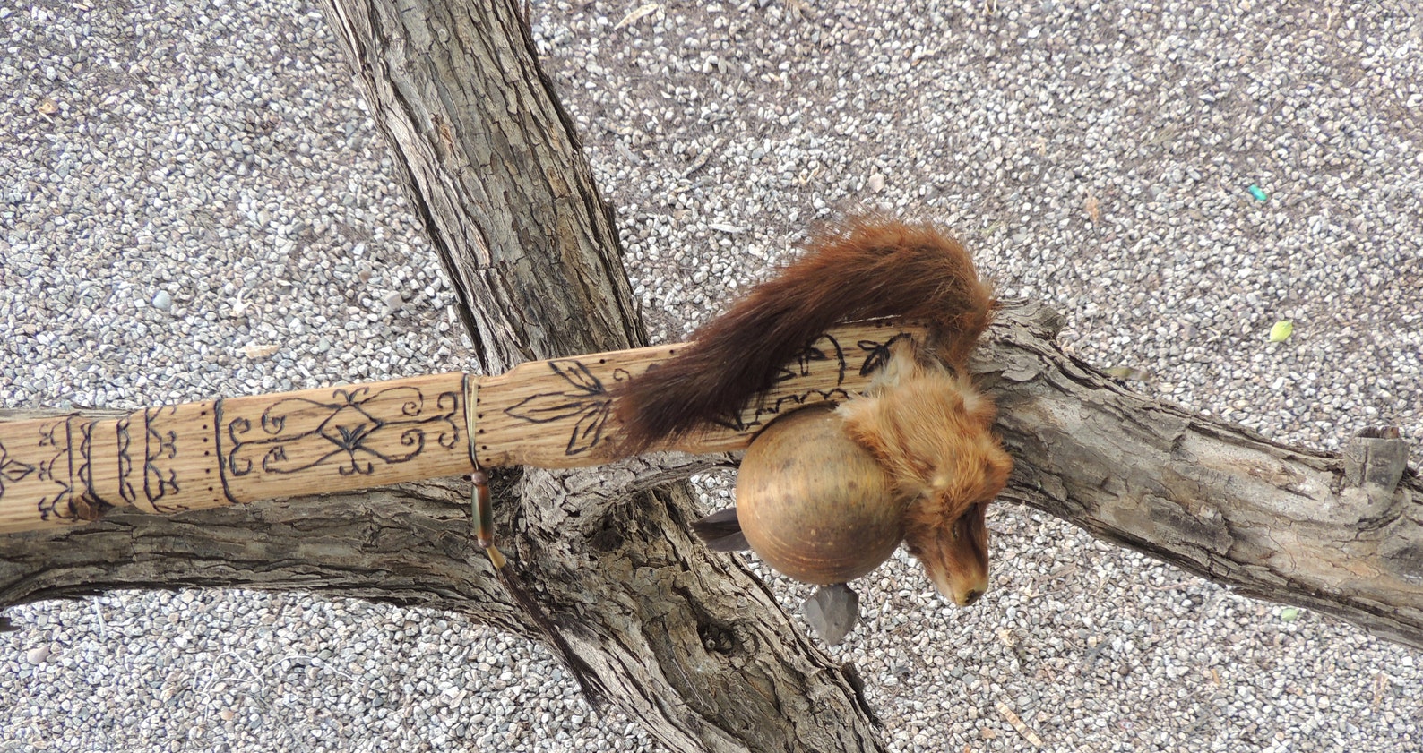 Mohawk/iroquois/eastern Woodland/ Hand Carved Ball Head War Club With ...