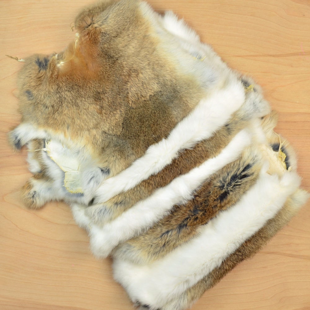 European Domestic Rabbit Hide Brown or White 11x15 Inches - Etsy UK