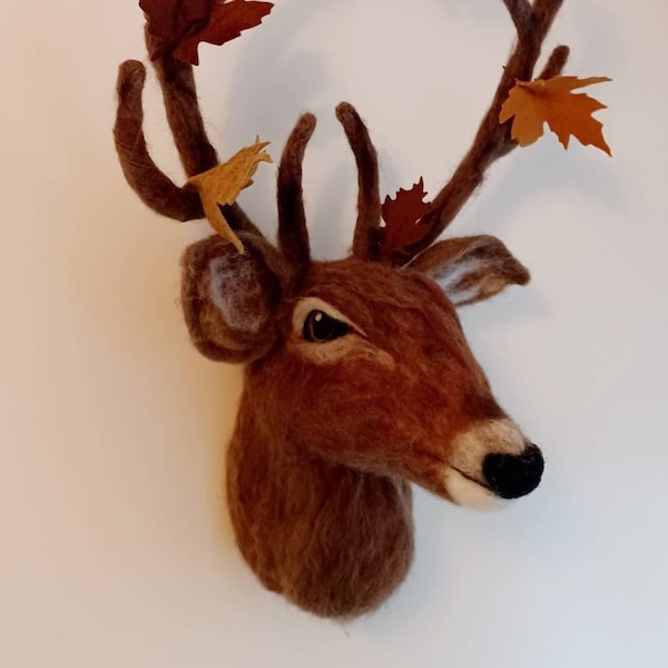 Real Mounted Deer Head - Etsy