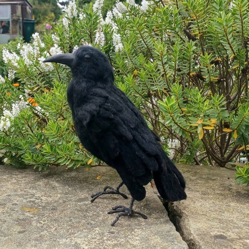 Raven Taxidermy - Etsy