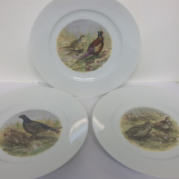 Three Bird Plates - Etsy