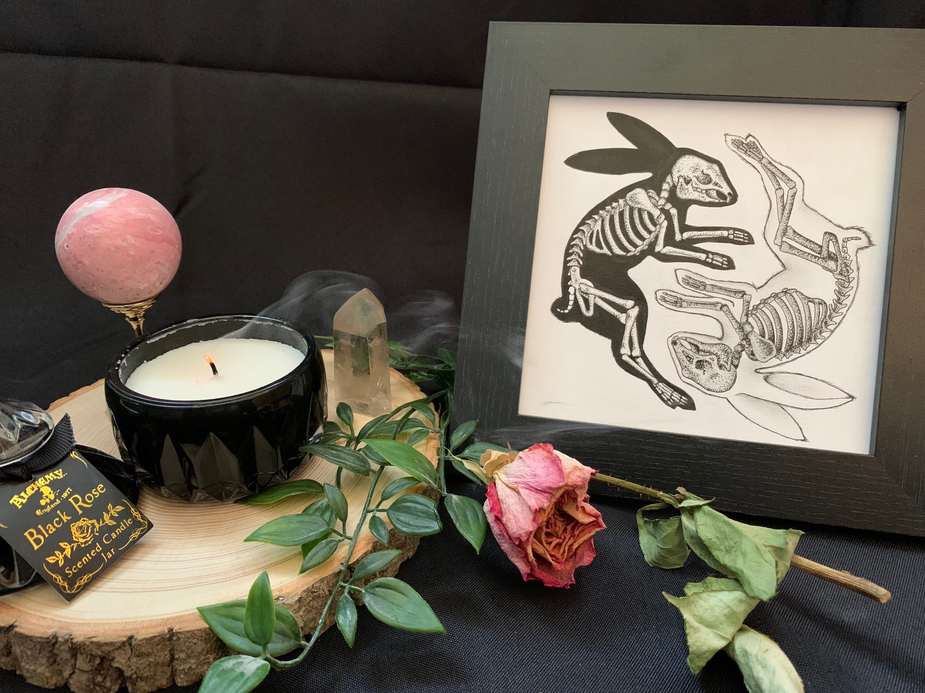Yin-yang Rabbit X-ray Print - Etsy UK
