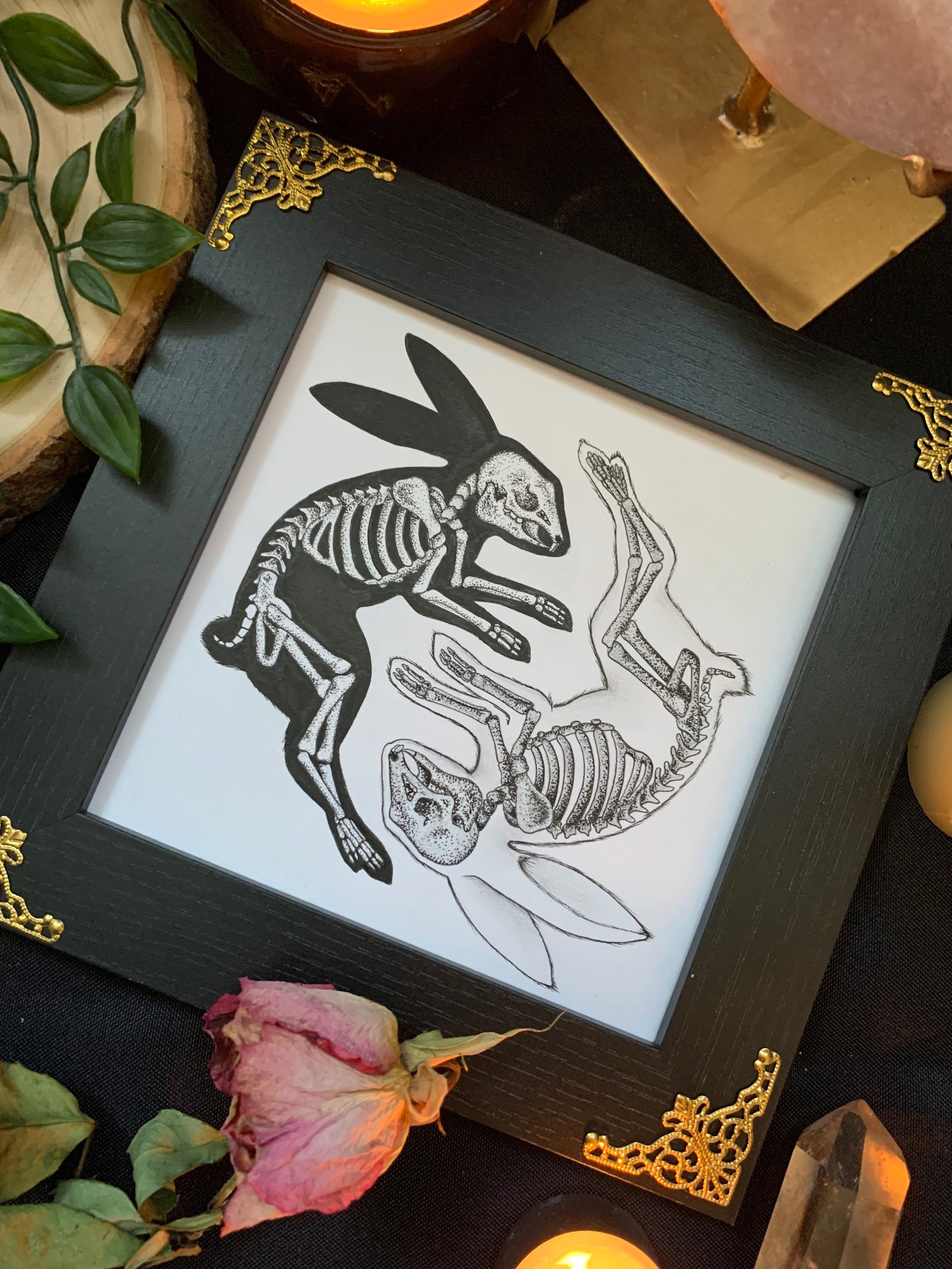 Yin-yang Rabbit X-ray Print - Etsy UK