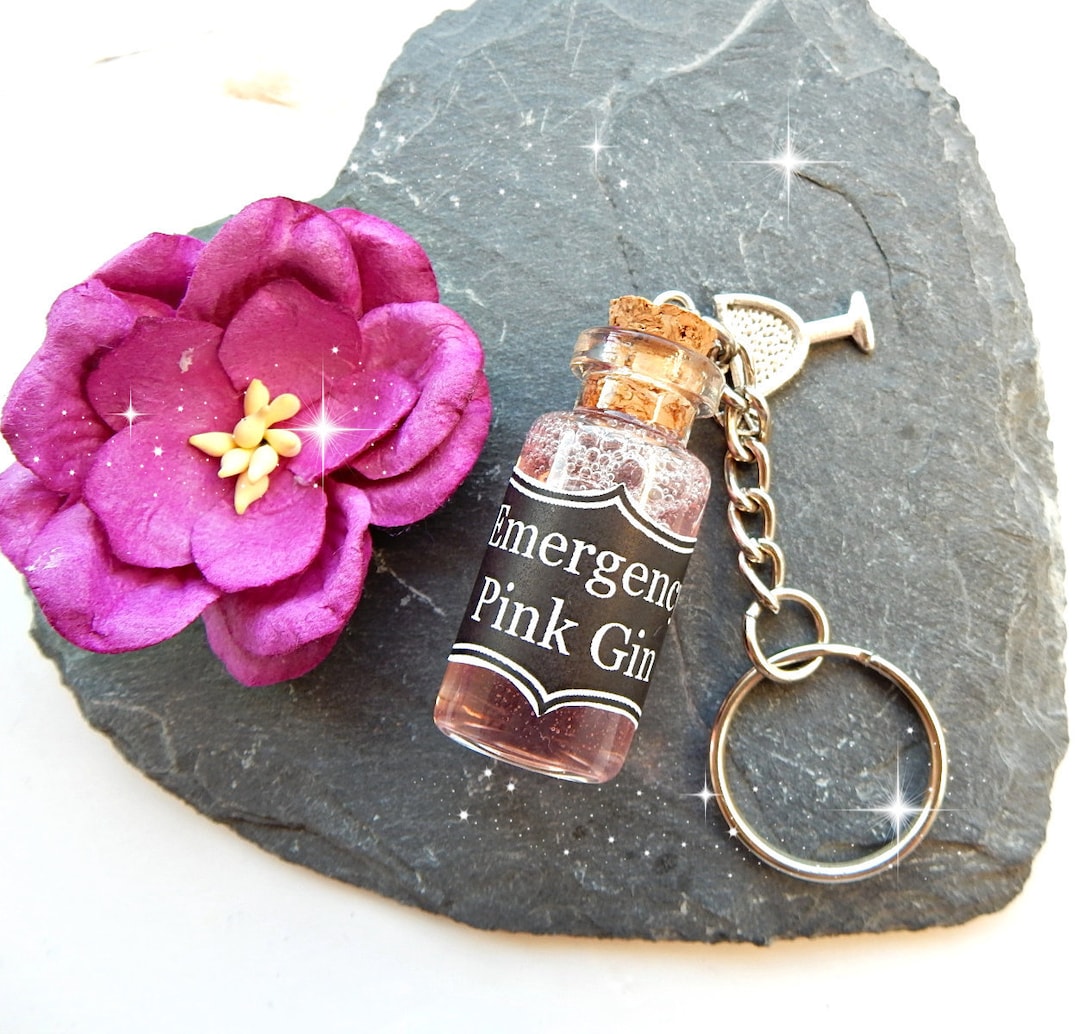 Pink Gin Gifts, Funny Alcohol Keychain, Gift for Friend, Party Favours ...