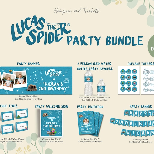 Lucas the Spider Birthday Decor - Etsy