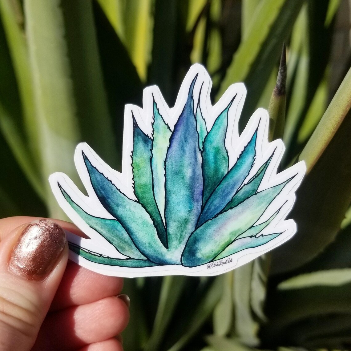 Aloe Vera Sticker Aloe Vera Art Cactus Sticker Cactus - Etsy