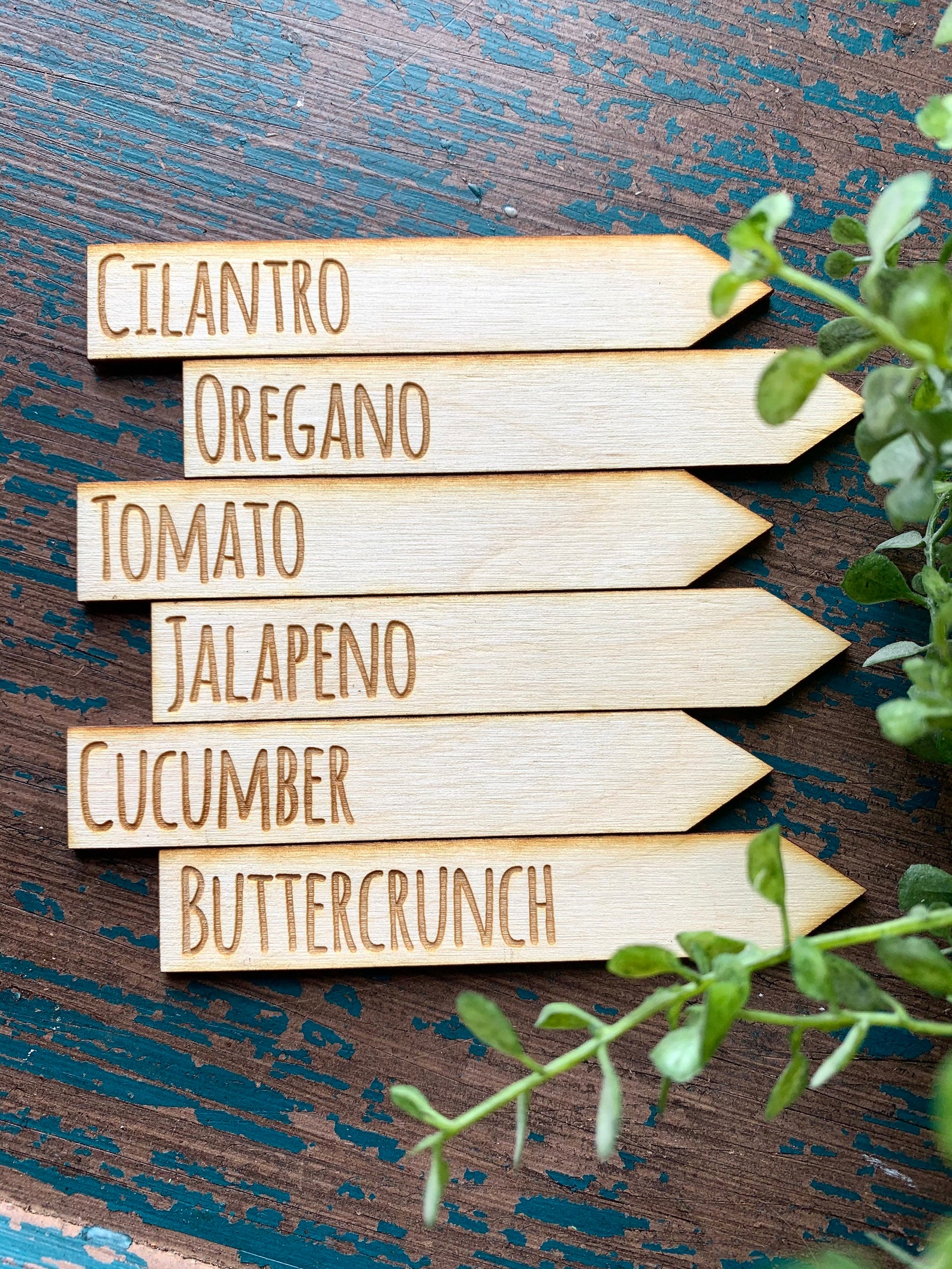 Custom Wood Plant markers Plant Tags Plant Name Stakes | Etsy