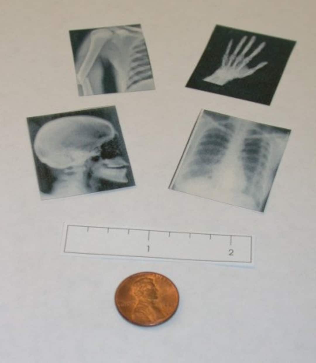 Miniature Doctor's Office X-rays - Etsy