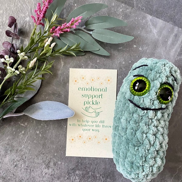 Emotional Support Pickle - Etsy