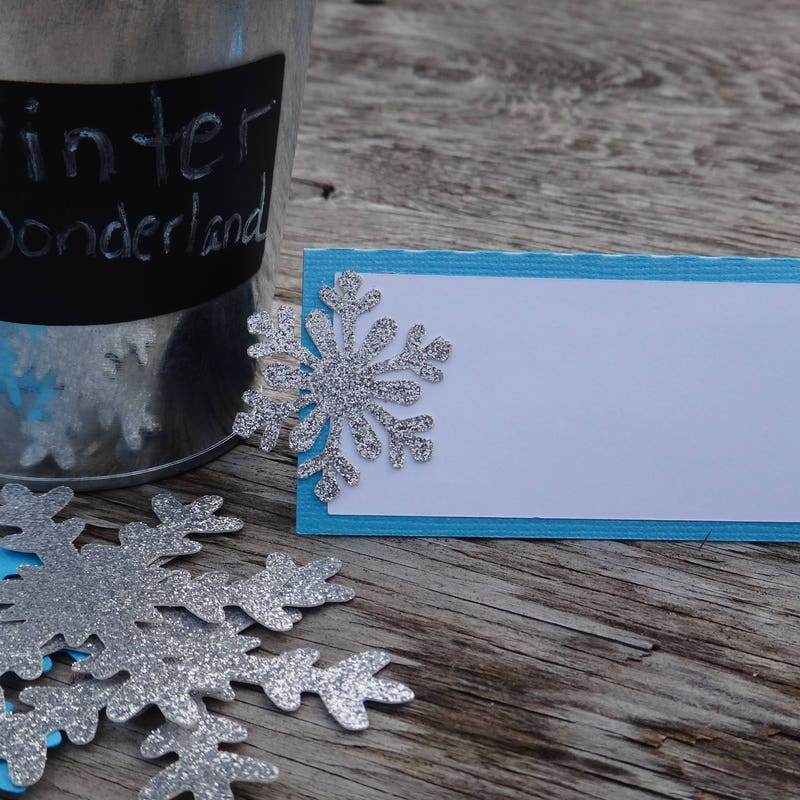 Frozen Place Cards - Etsy
