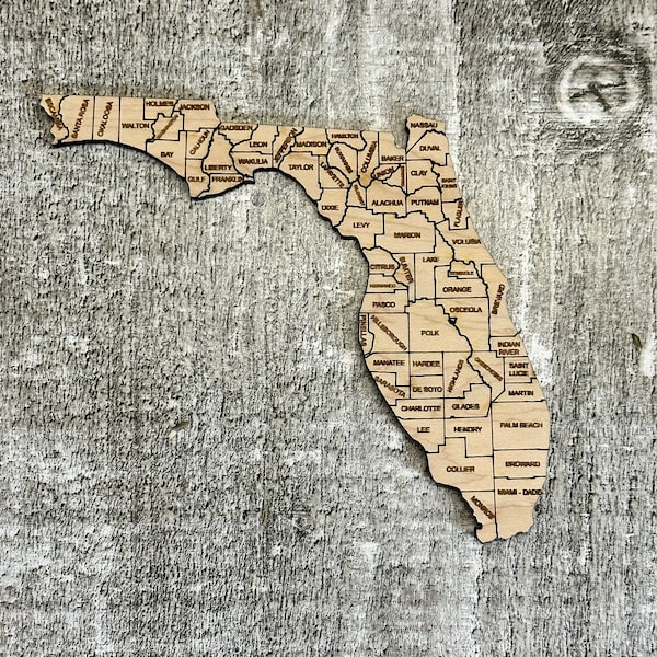 Florida Counties Svg - Etsy