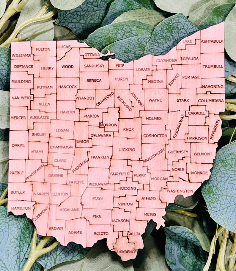 Digital State of Ohio With Counties Map SVG PDF & DXF Puzzle - Etsy