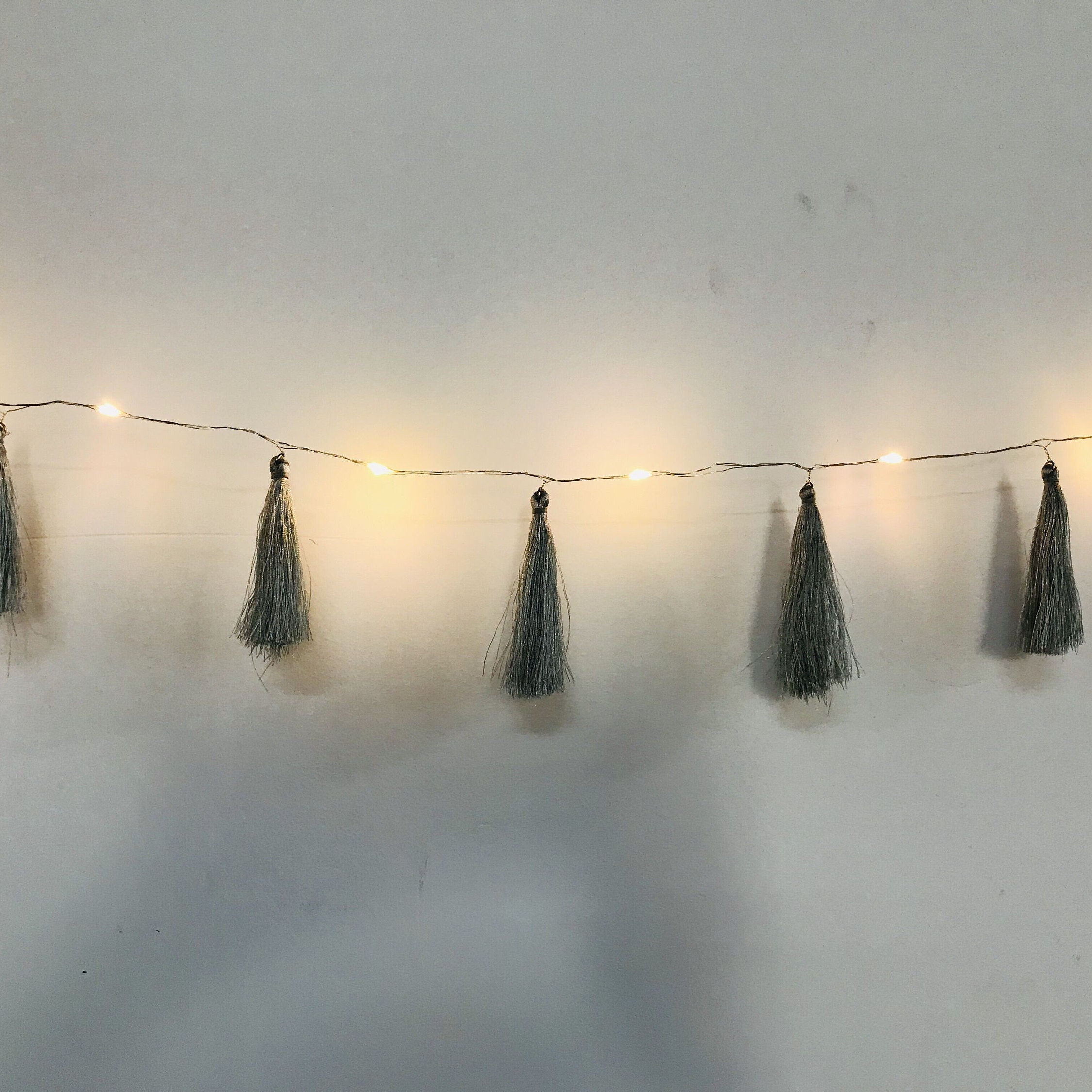 20 LED Small Tassel Fairy Lights Battery Operated - Etsy