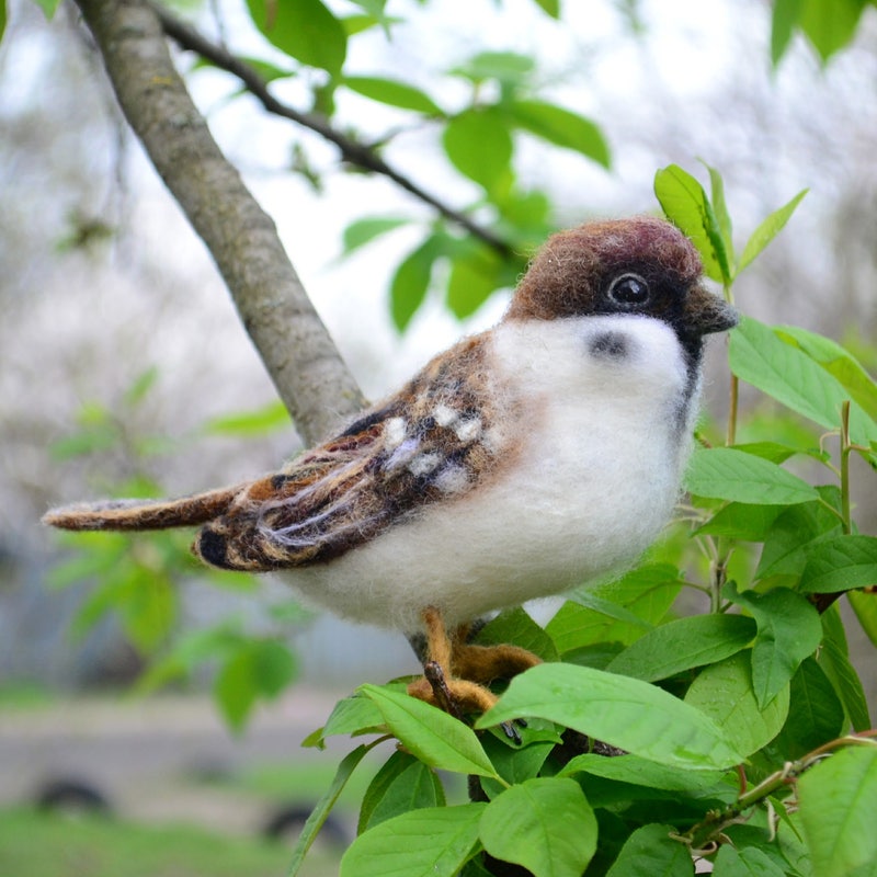 Needle Felted Bird - Etsy