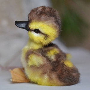 Plush Duckling MADE TO ORDER, Realistic Animals, Plushie Duck, Stuffed ...