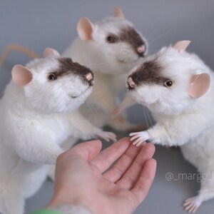 Dumbo Rat in Realistic Style, MADE TO ORDER, Animal Art Doll, Stuffed ...