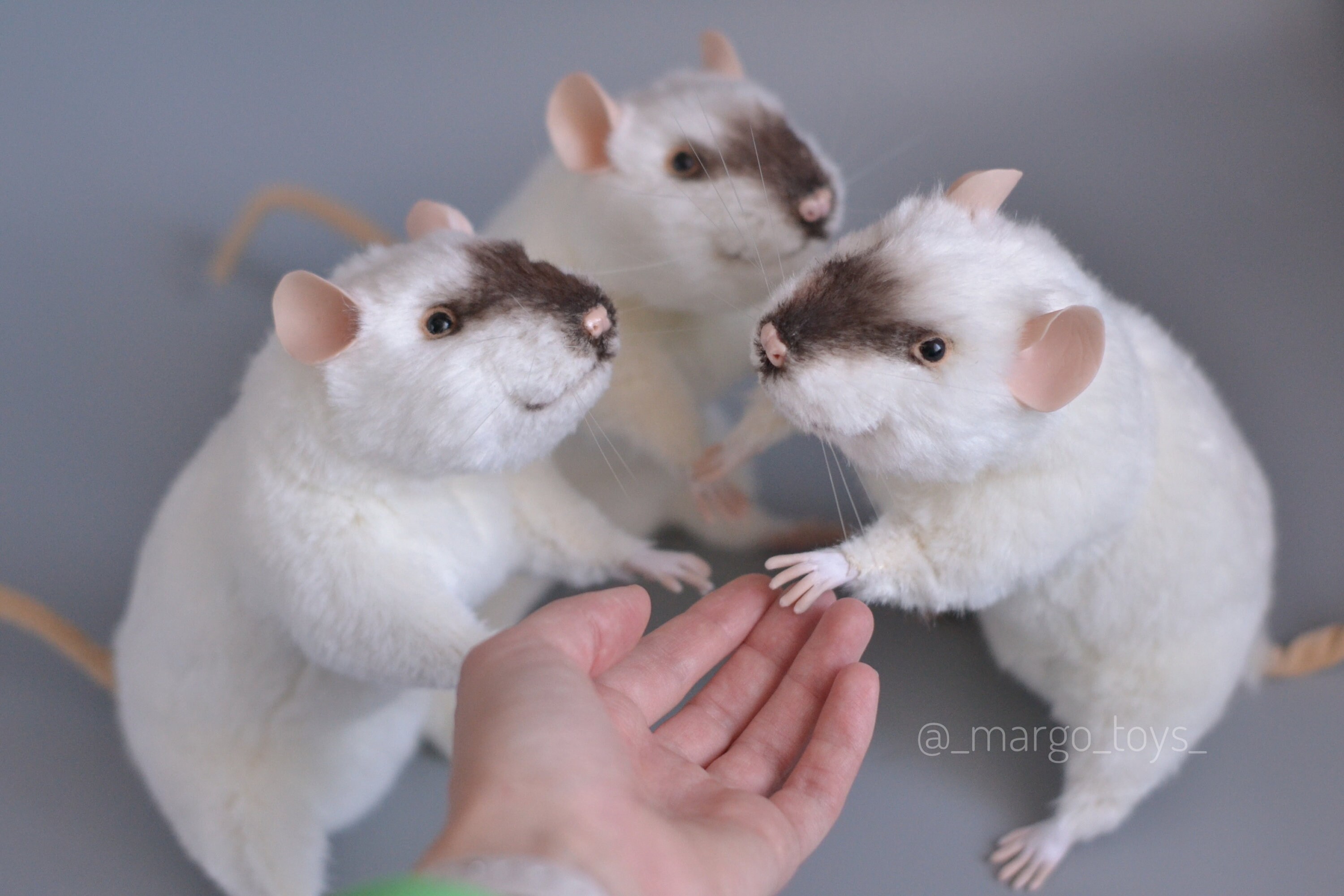 Dumbo Rat in Realistic Style, MADE TO ORDER, Animal Art Doll, Stuffed ...