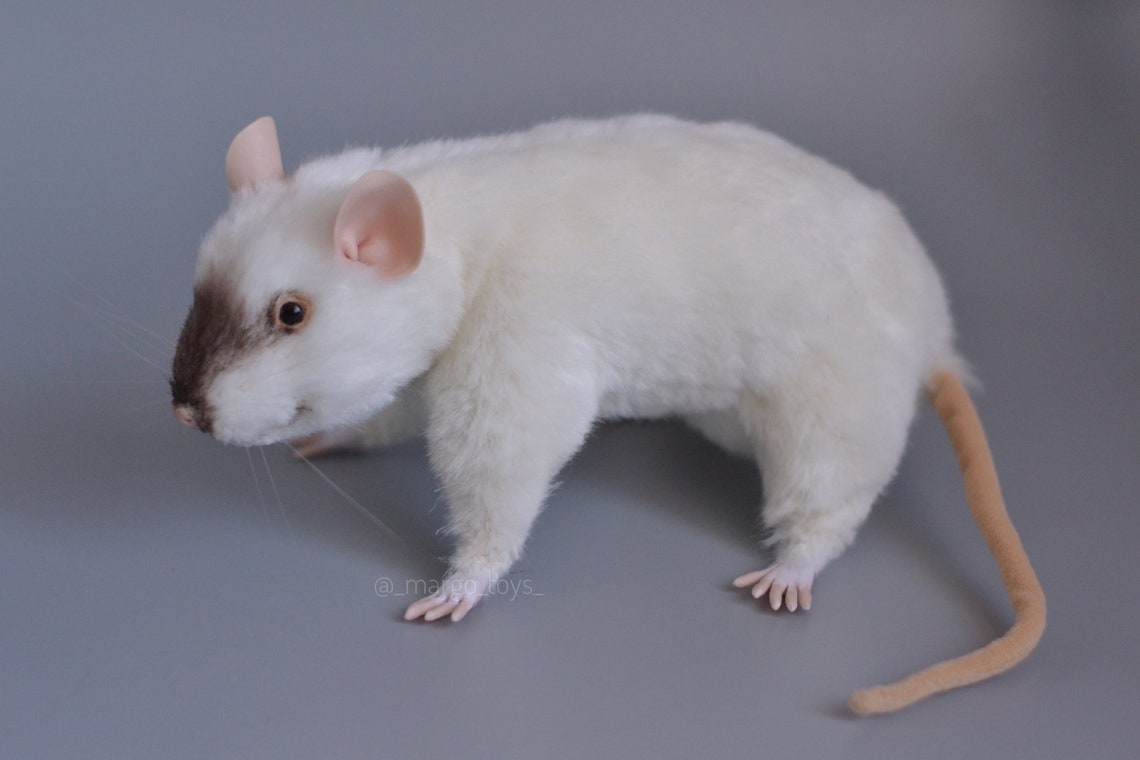 Dumbo Rat in Realistic Style, MADE TO ORDER, Animal Art Doll, Stuffed ...