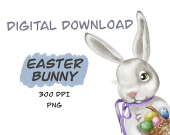 Cute Bunny Easter Rabbit Clipart PNG Transparent Background - Etsy