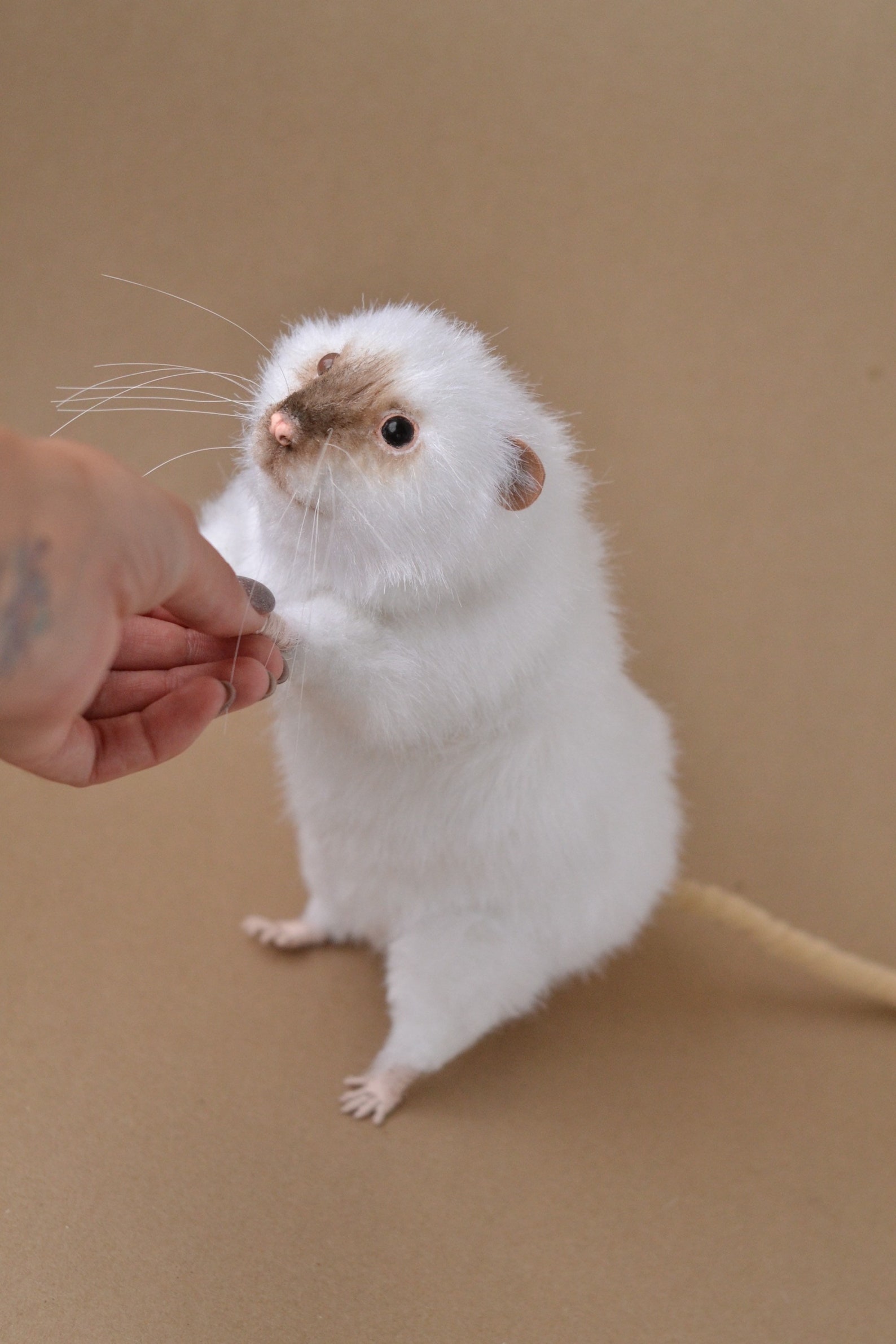 Dumbo Rat in Realistic Style MADE TO ORDER Animal Art Doll - Etsy