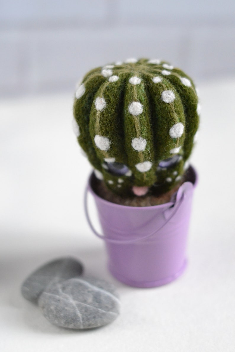 Friendly Cactus Needle Felted Succulent Realistic Plants - Etsy