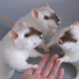 Dumbo Rat in Realistic Style, MADE TO ORDER, Animal Art Doll, Stuffed ...