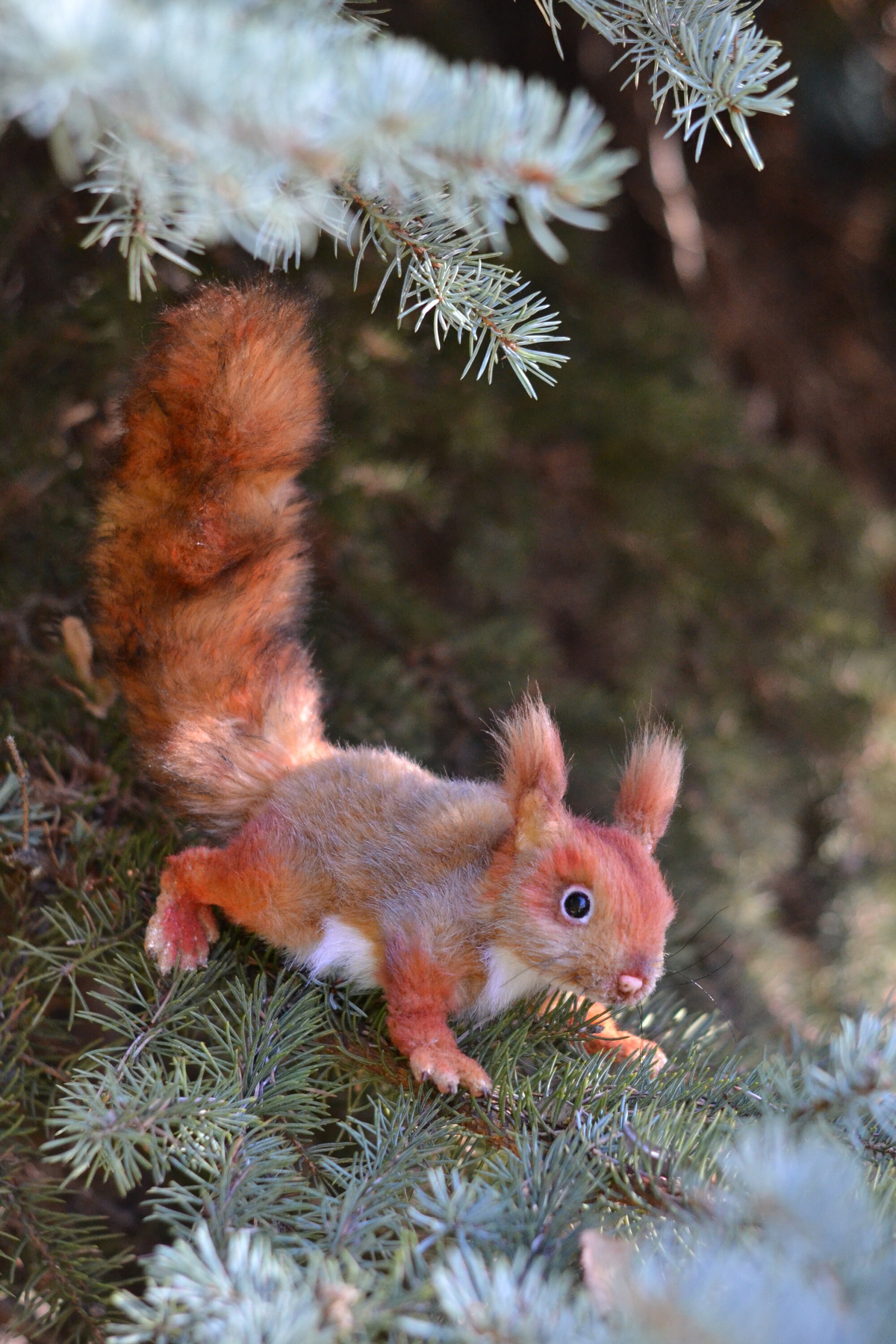 Realistic Red Squirrel MADE TO ORDER Sewn Animal Replica Real - Etsy