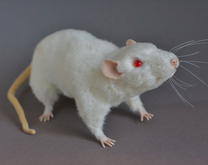 Realistic Albino Rat (MADE TO ORDER), Plush Animals, Lifelike Plush Toy ...