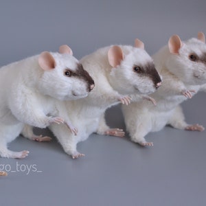 Dumbo Rat in Realistic Style, MADE TO ORDER, Animal Art Doll, Stuffed ...