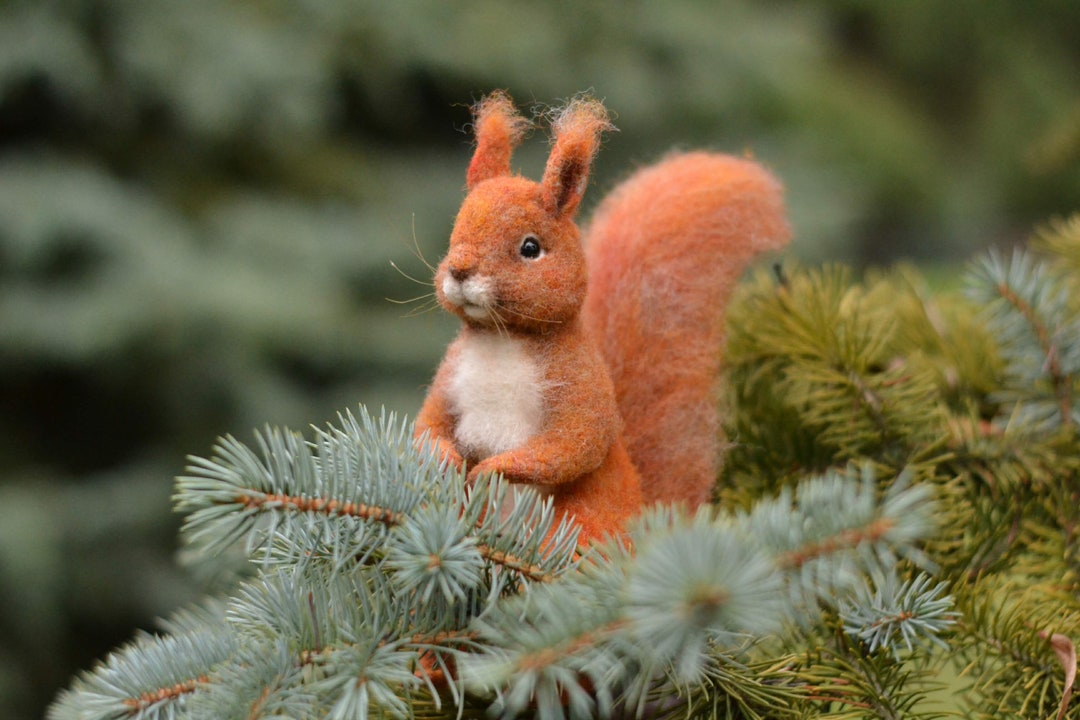 Eichhörnchen nadelgefilztes realistisches Tier AUF BESTELLUNG Wollfilz ...