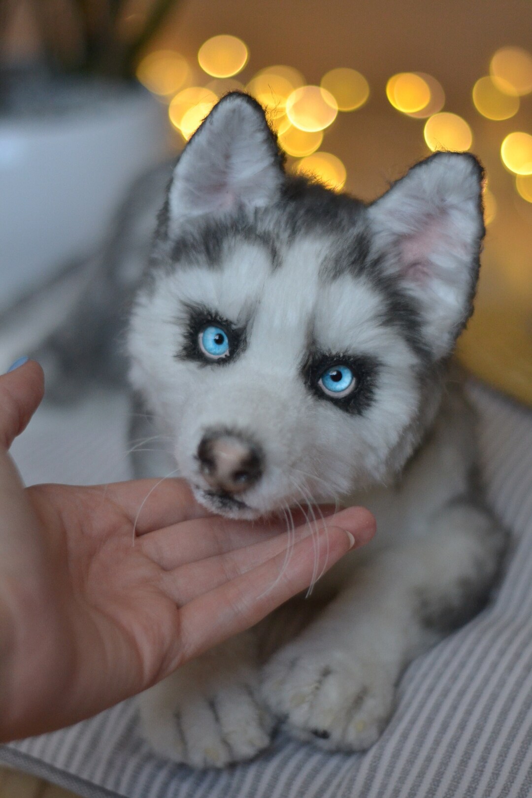 Realistic Husky MADE TO ORDER Puppy Ooak Doll Sewing Toy Eco - Etsy